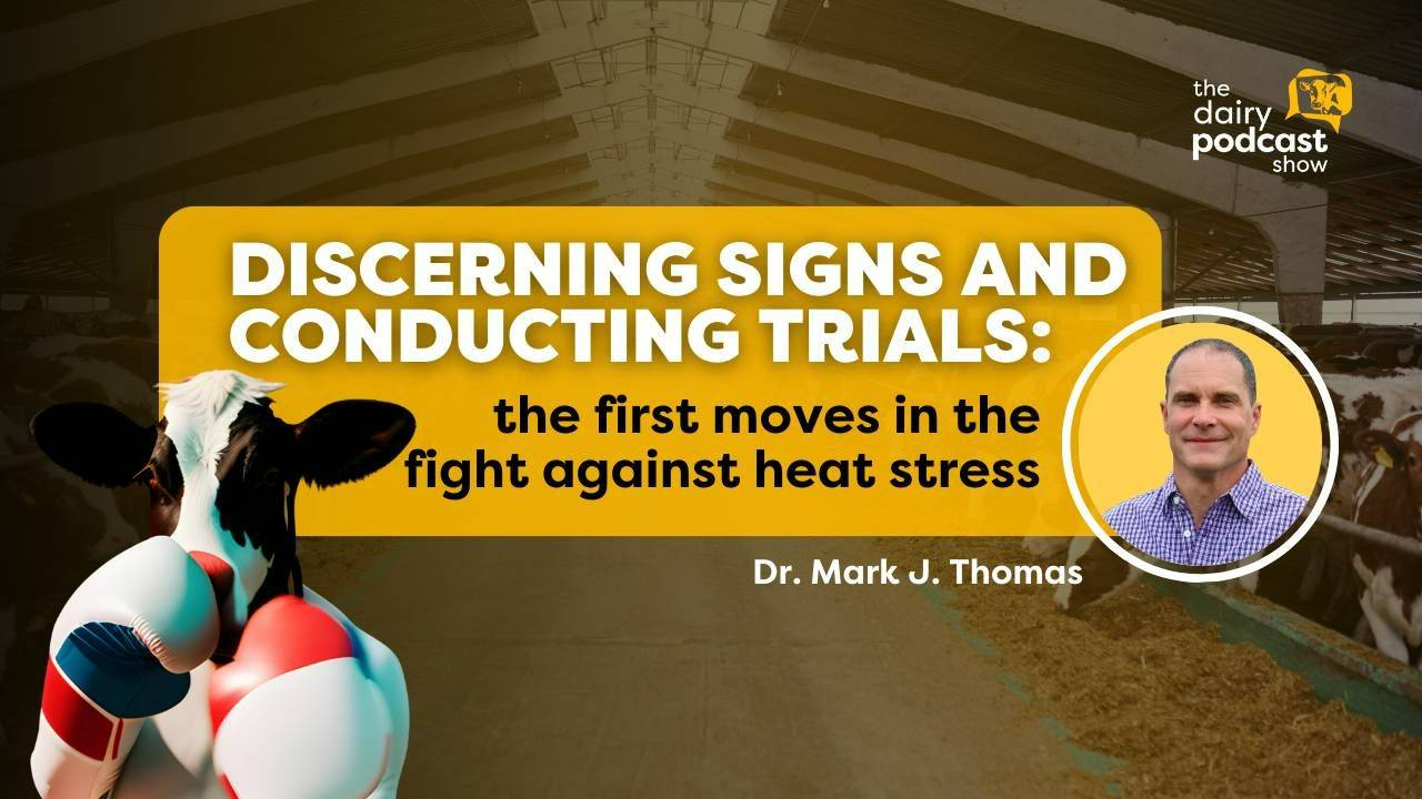 Discerning signs and conducting trials: the first moves in the fight..