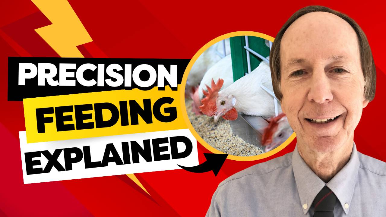 Dr. Carl Parsons: Poultry Feed Digestibility | Ep. 83
