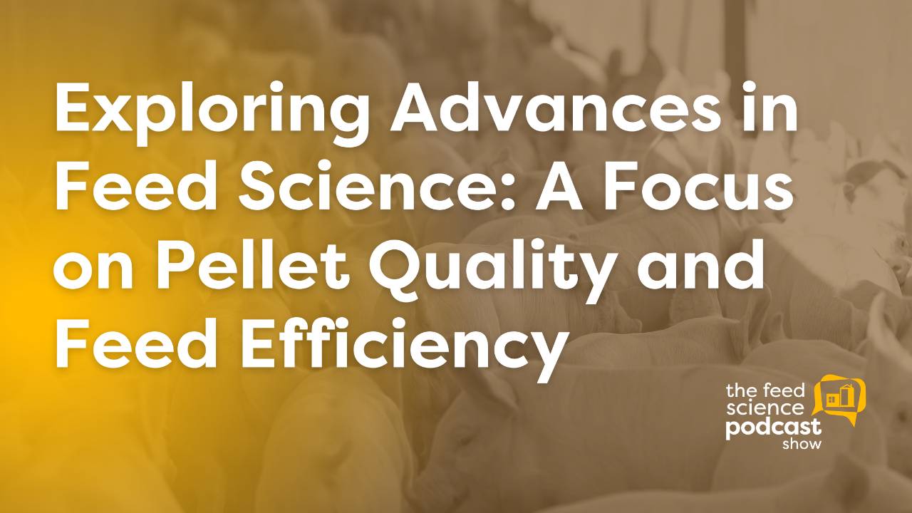 Exploring Advances in Feed Science