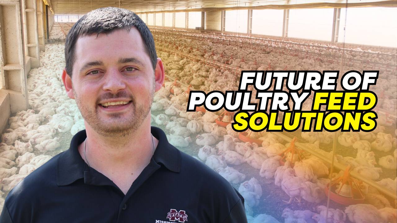 Dalton Dennehy: Functional Feed Additives | Ep. 130