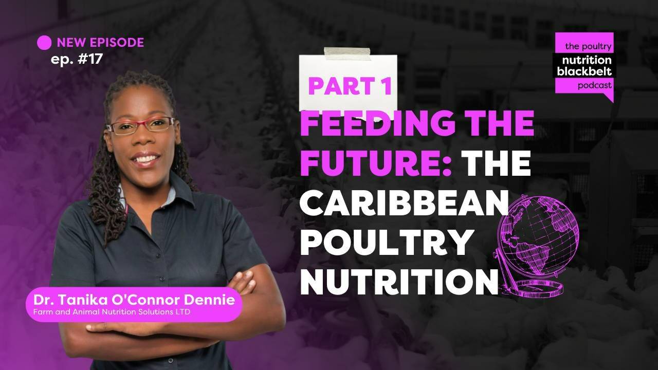 #17 - Feeding the future: the Caribbean poultry nutrition