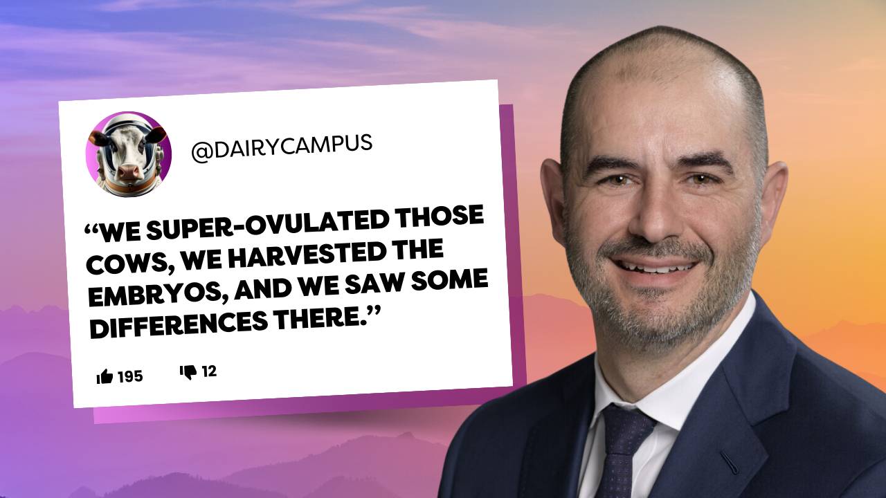 Dr. Phil Cardoso: Methionine's Role in Dairy | Ep. 25