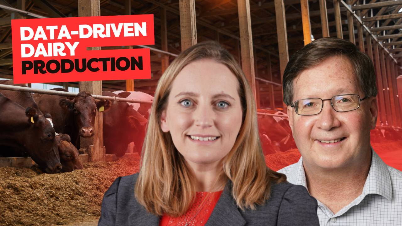 Dr. Buckmaster & Dr. Boerman: Digital Tools for Dairy Feed | Ep. 95