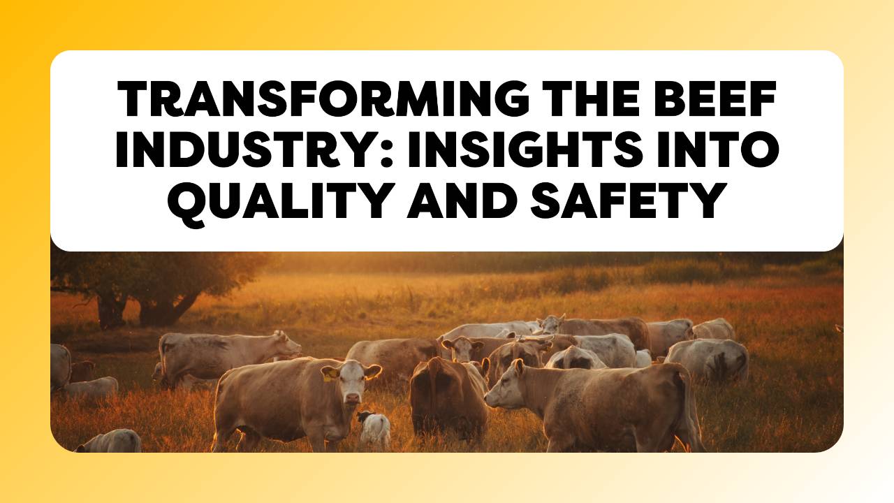 Transforming the Beef Industry: Insights into Quality and Safety