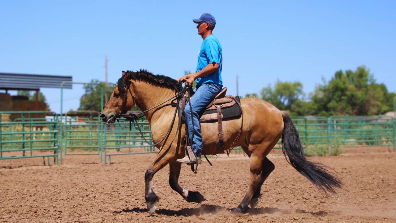 Horse Training Tip: Loping on the Trail