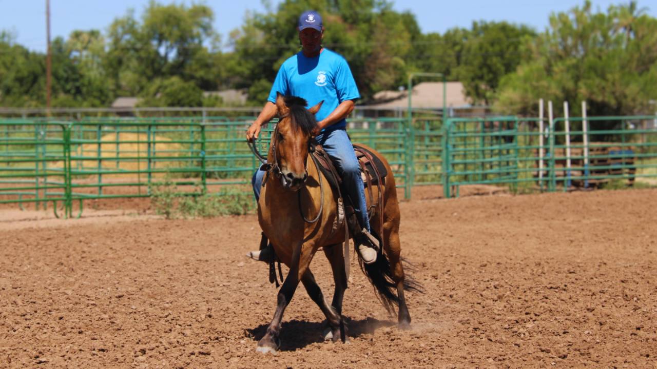 Counter Bending with my Horse: How?
