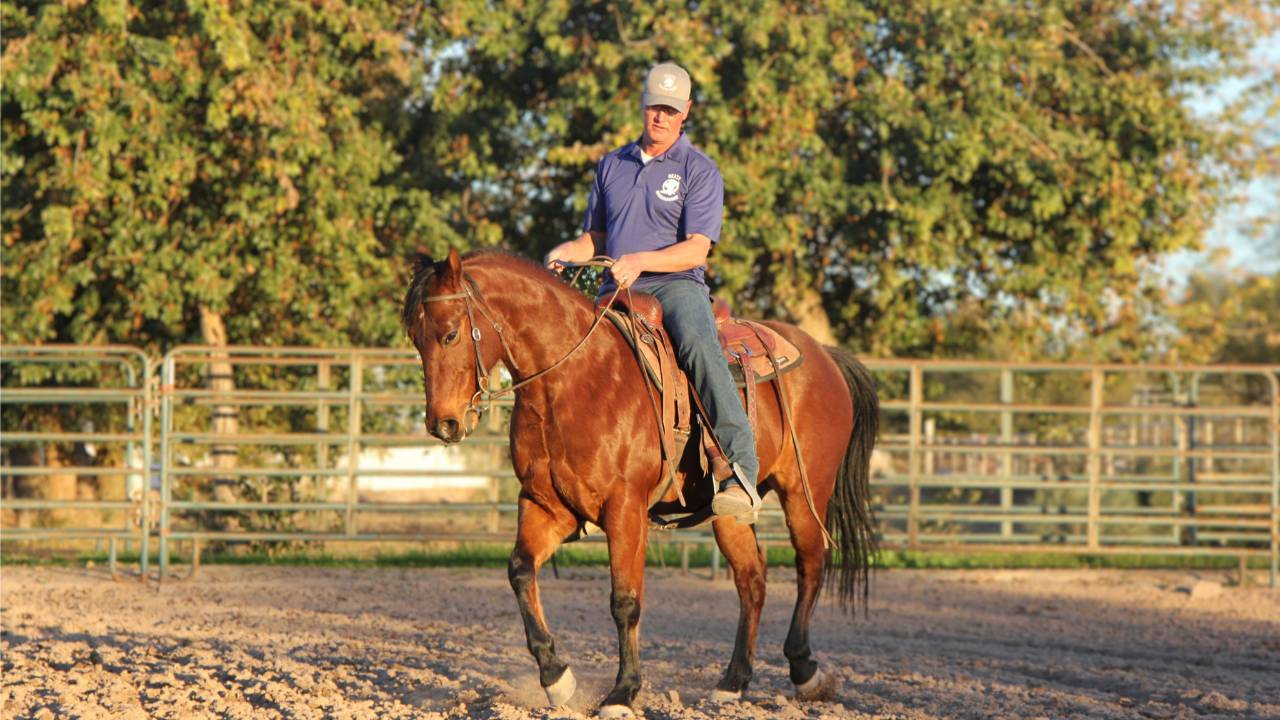 Horse Training Tip: Moving Laterally