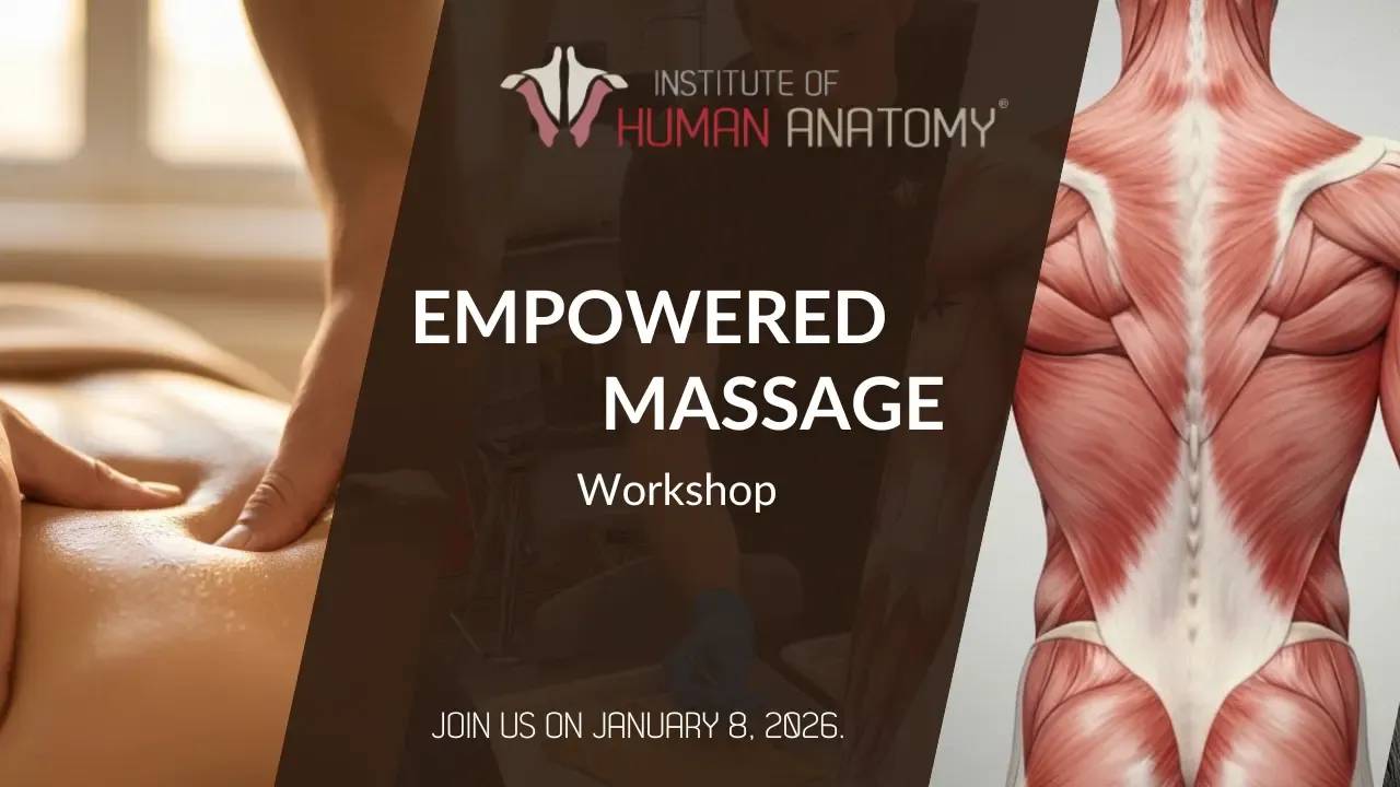 Massage Therapy & Bodywork Anatomy Lab Workshop