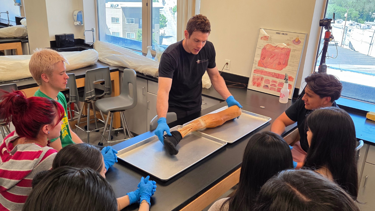 How Cadavers Improve Regional Anatomy Learning