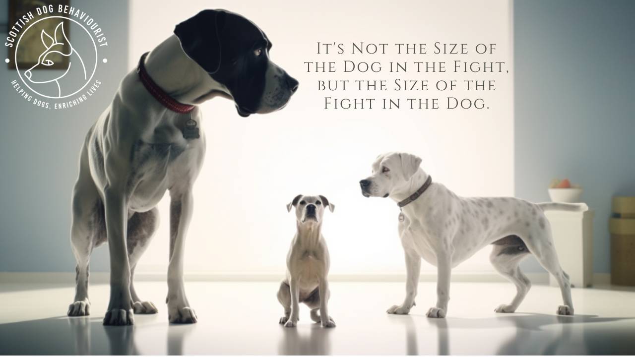 It's Not the Size of the Dog in the Fight, stay on target