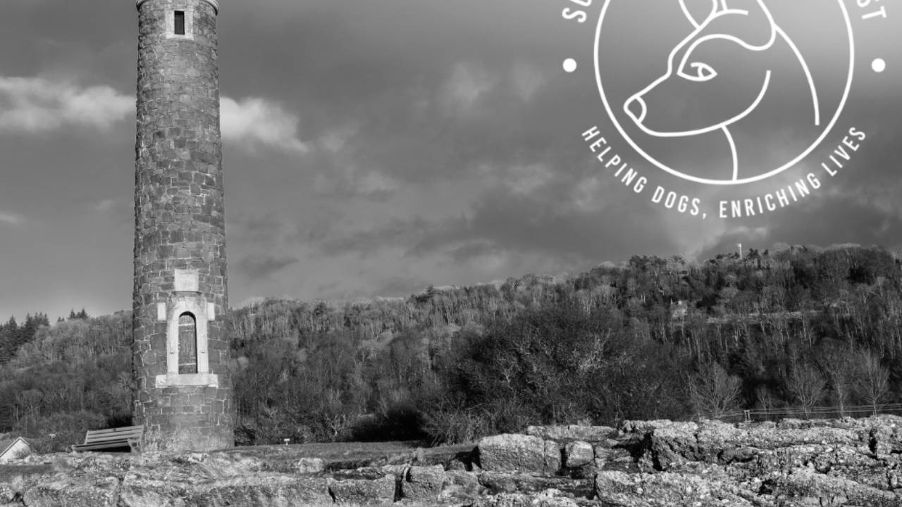 Dog Training and Dog Behavioural Training in Largs