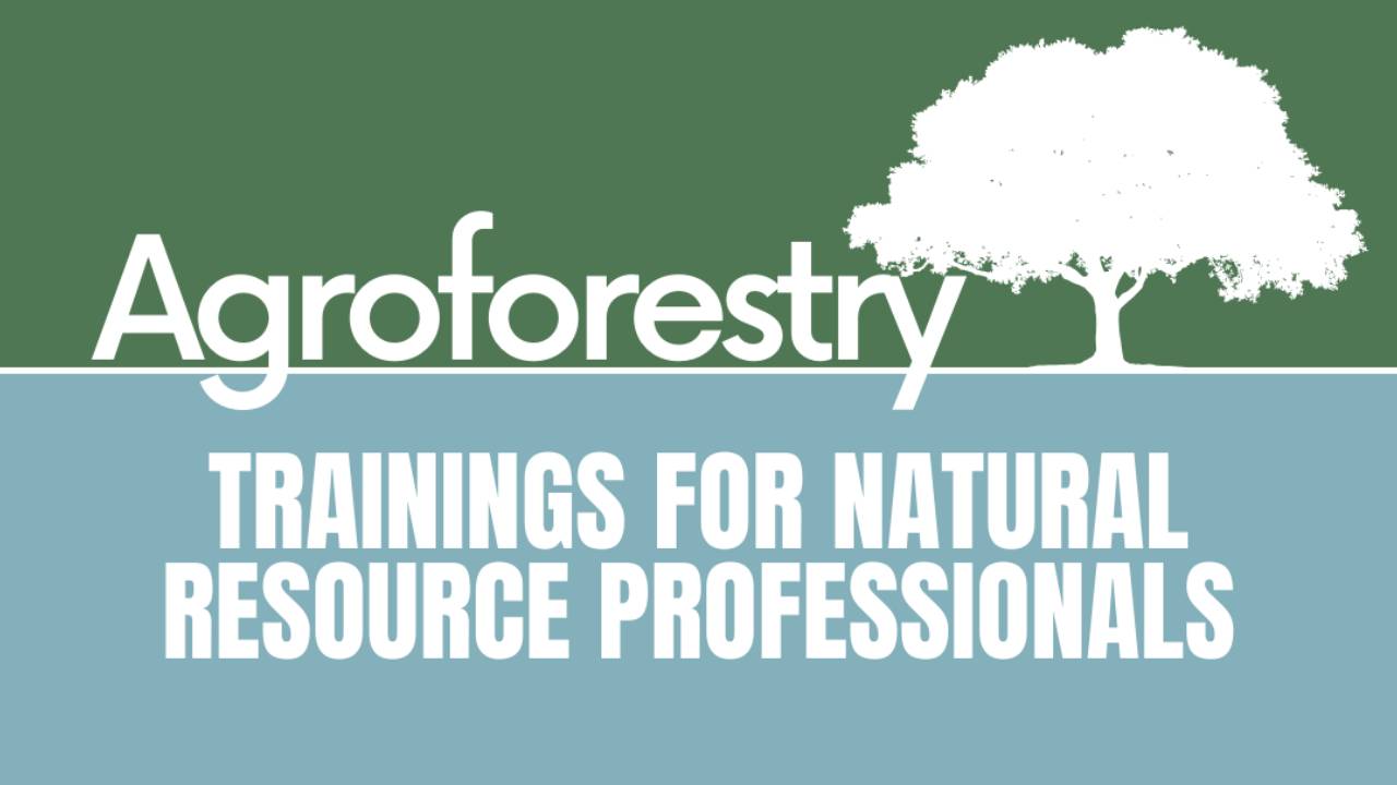 Agroforestry Trainings for Natural Resource Professionals