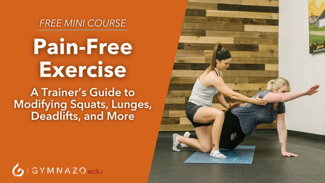 Pain Free Exercise: A Trainer's Guide to Modifications