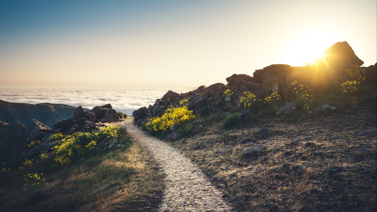 Path to Purpose