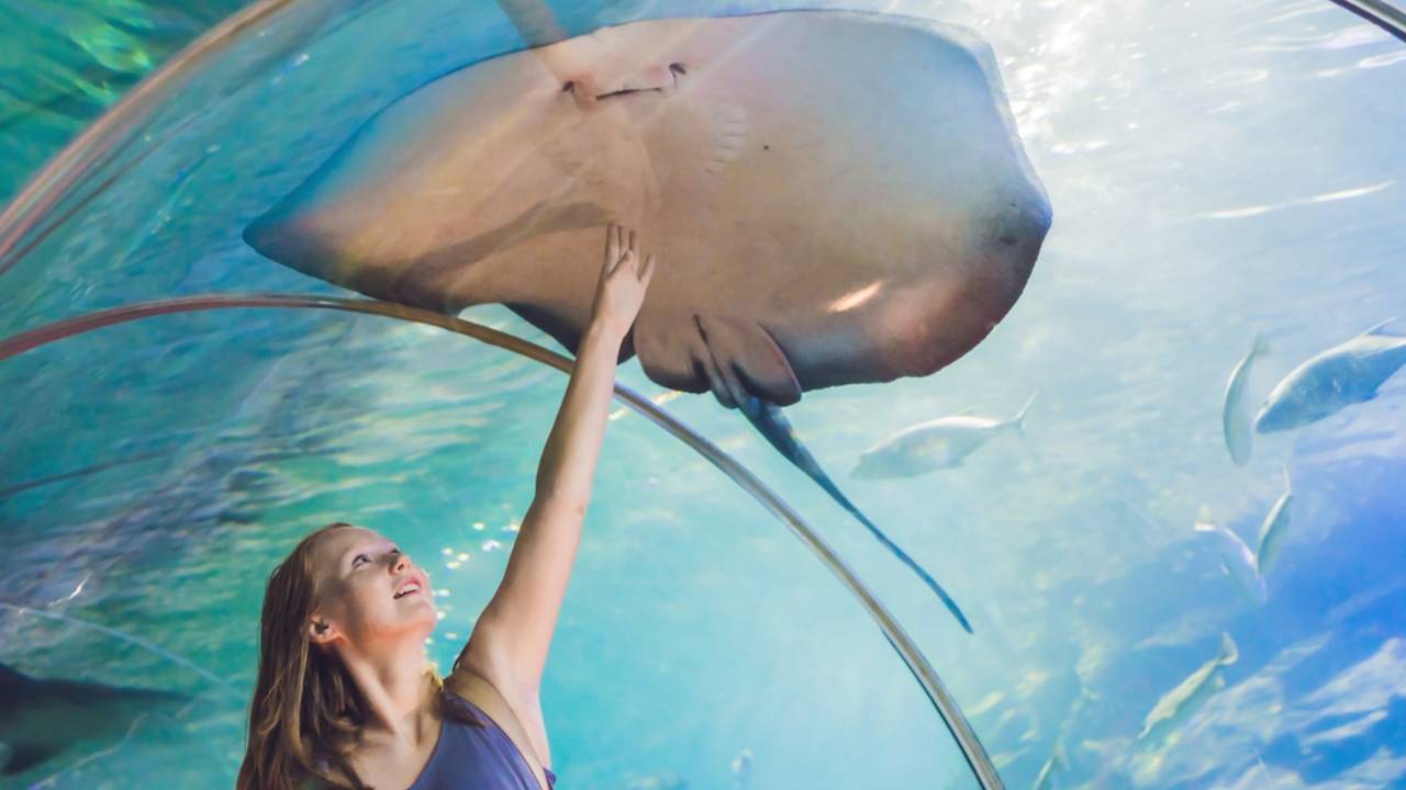 Family Activities & Budget-Friendly Summer Outings