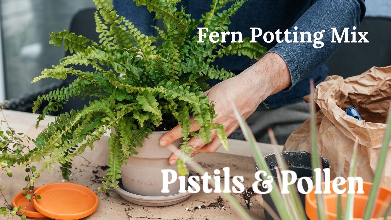 Crafting the Ultimate Fern Potting Mix
