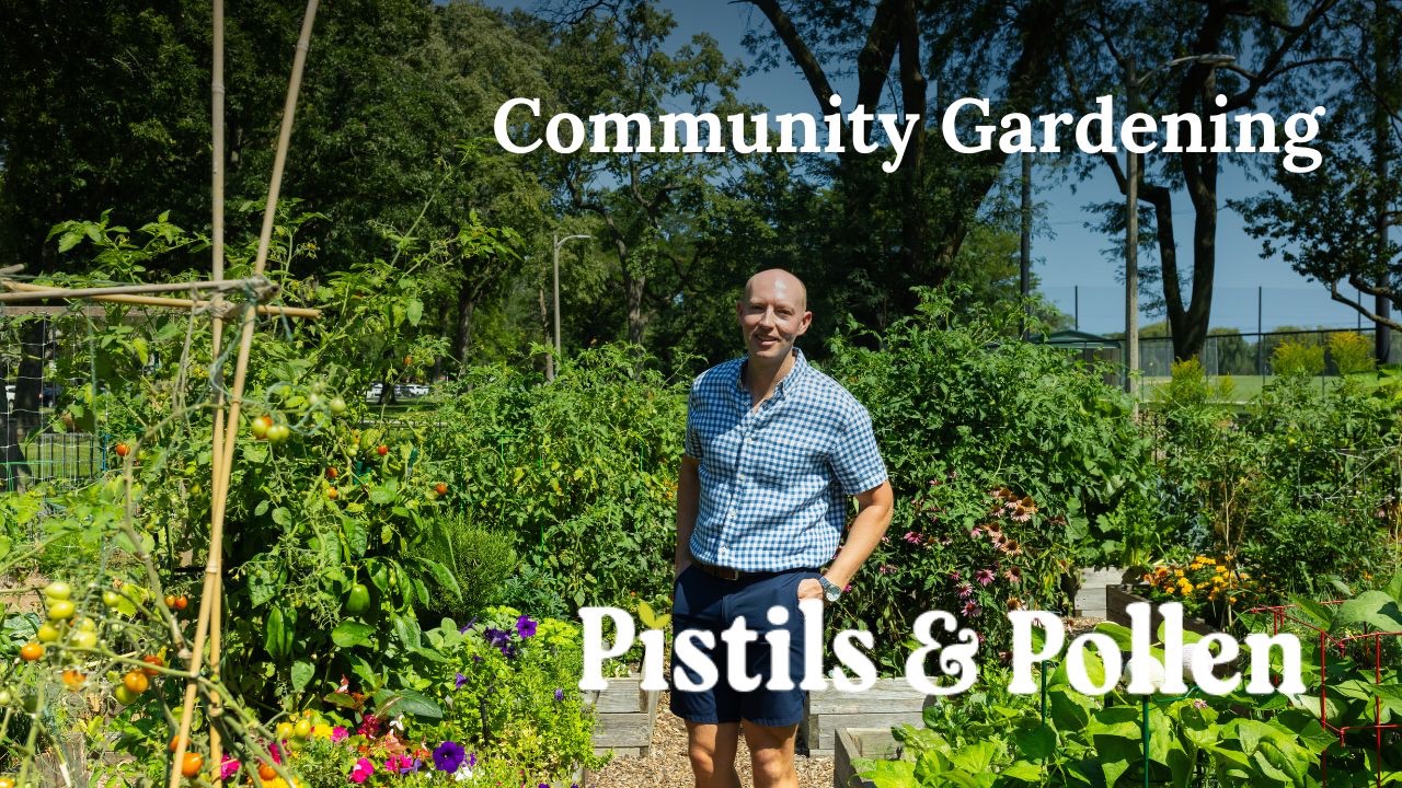 How Community Gardens Transform Cities