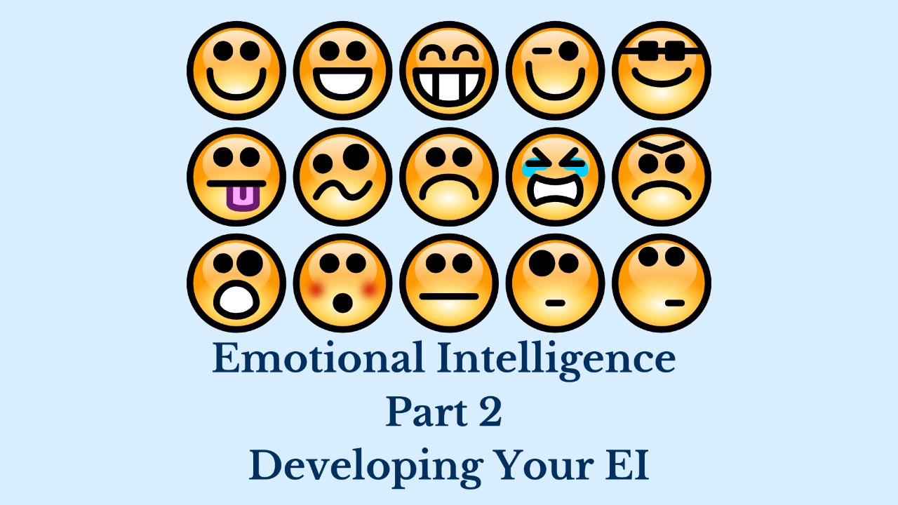 How To Develop Emotional Intelligence