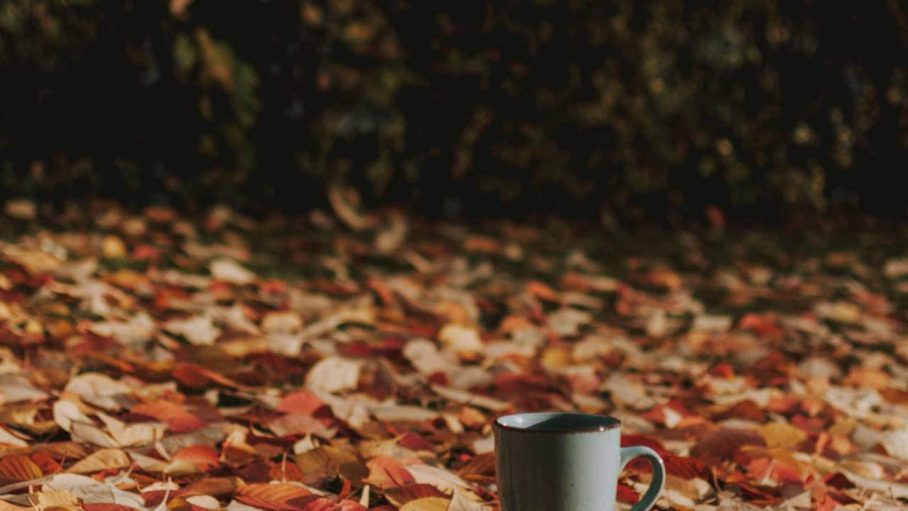 Coach - Janice Leonetti