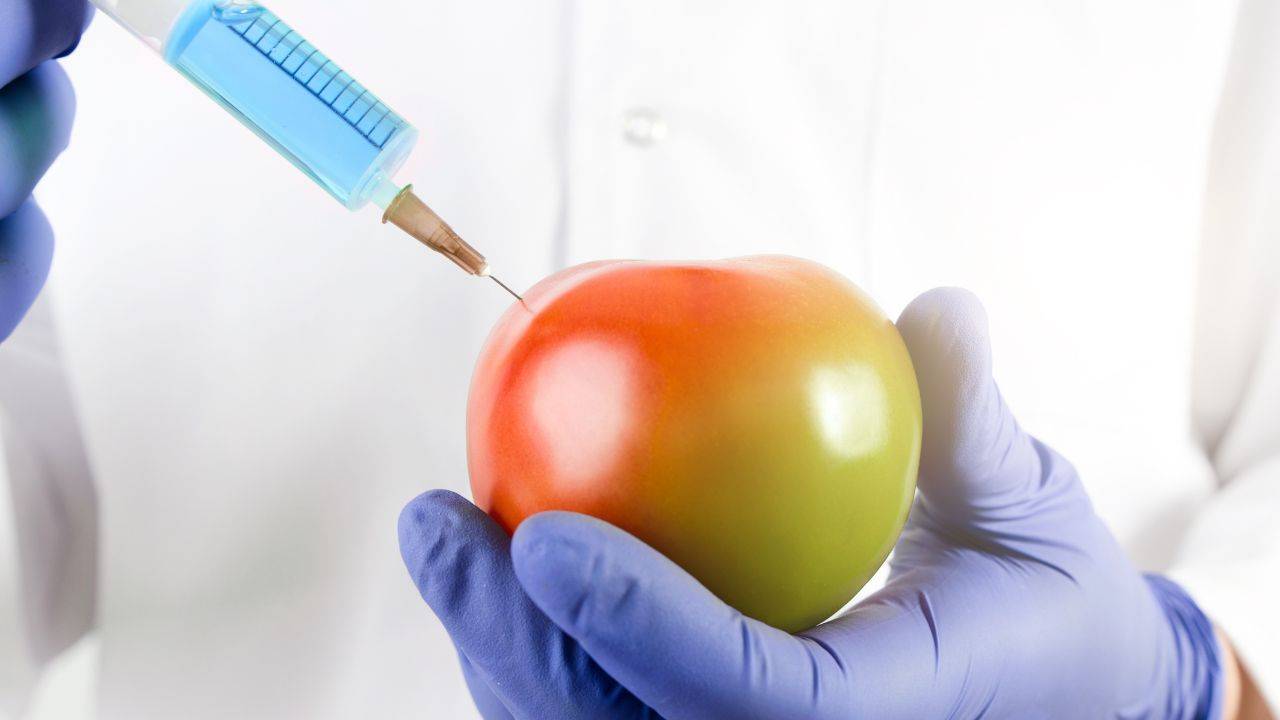 BIOENGINEERED FOODS, WHAT ARE YOU REALLY EATING?