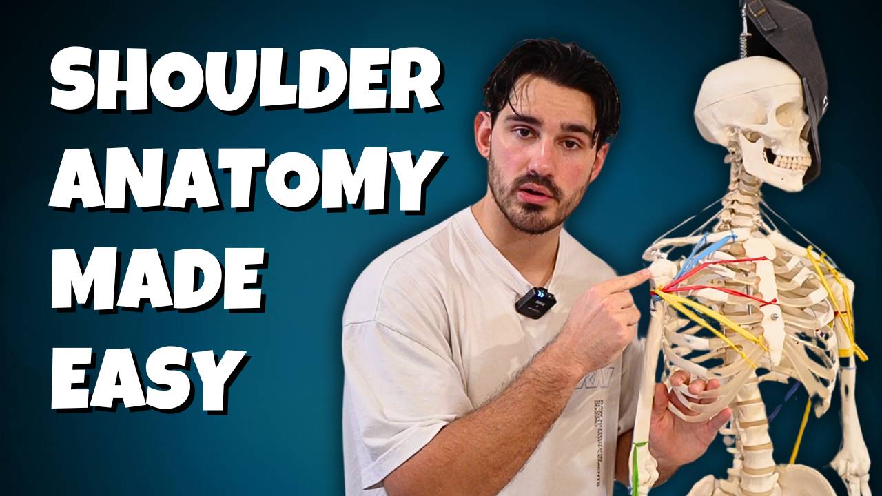 Learn Shoulder Anatomy