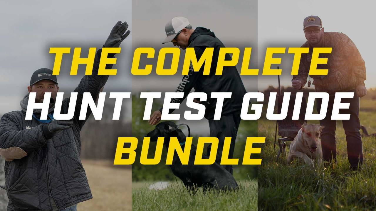 The Complete Hunt Test Guide Bundle