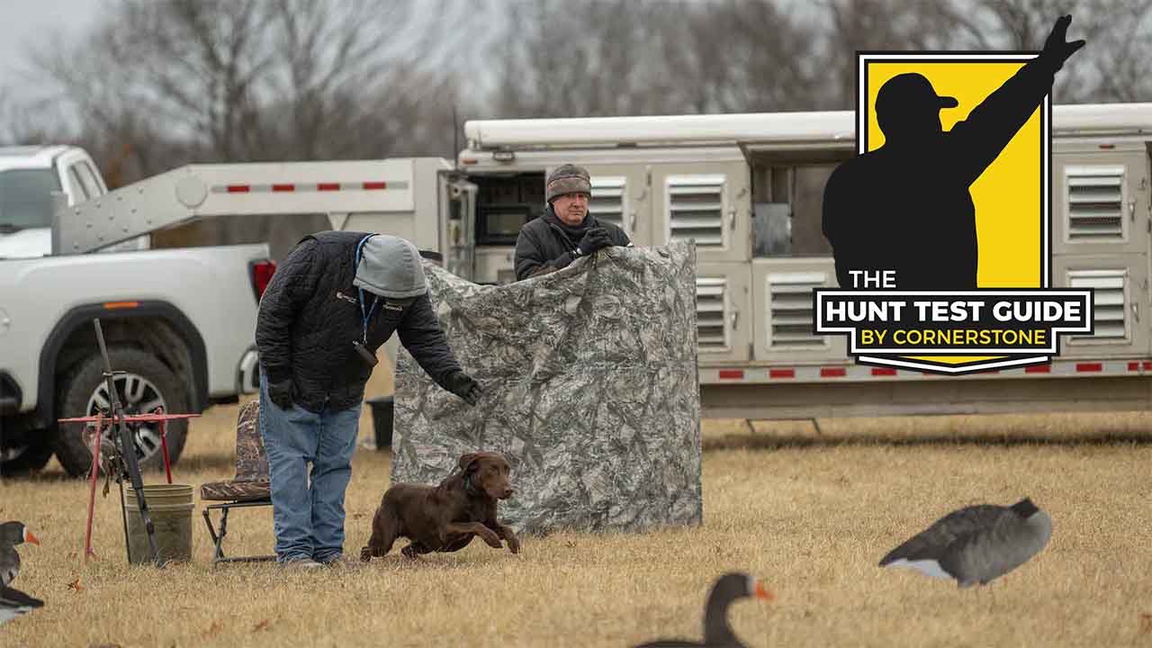 Your Guide to Being Successful at Hunt Tests