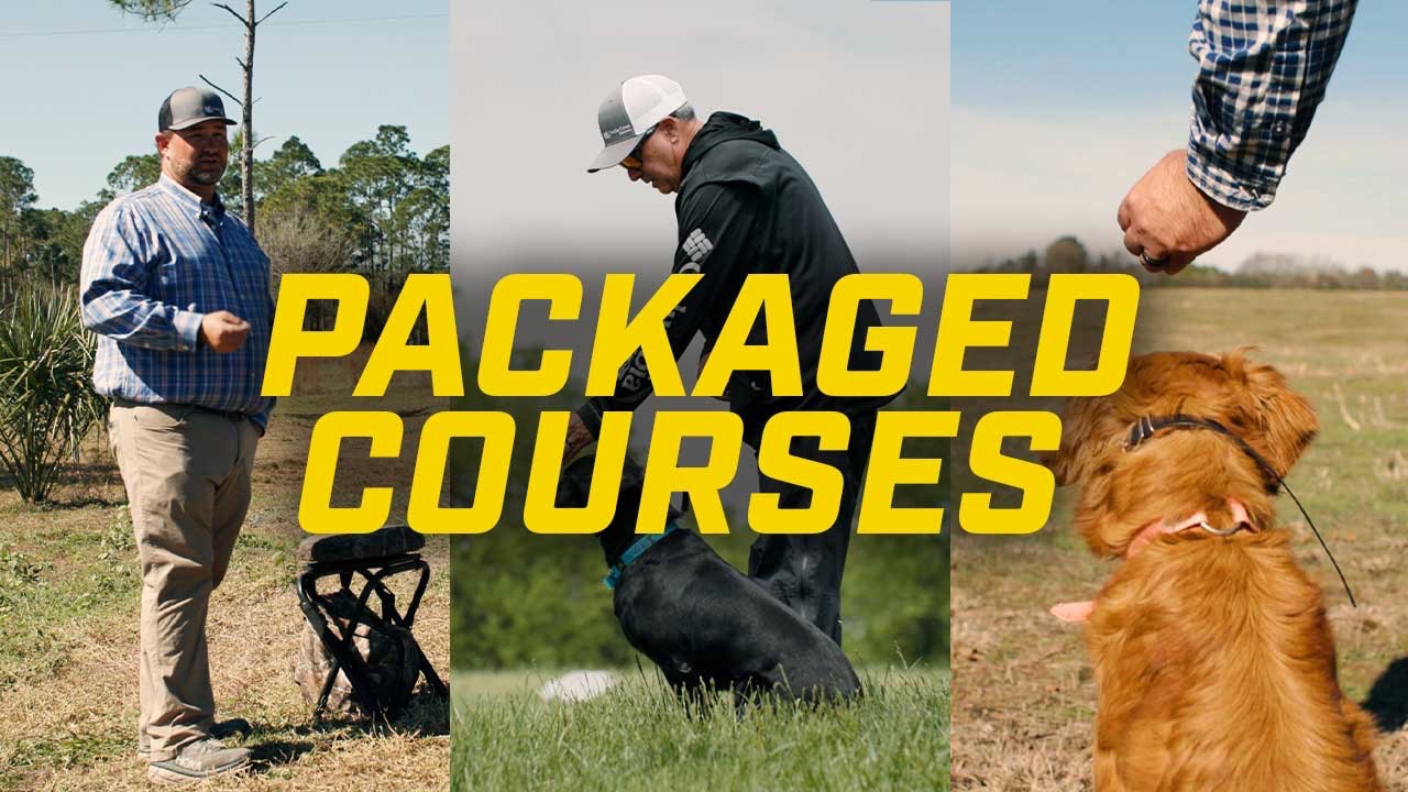 The Hunt Test Guide Bundles