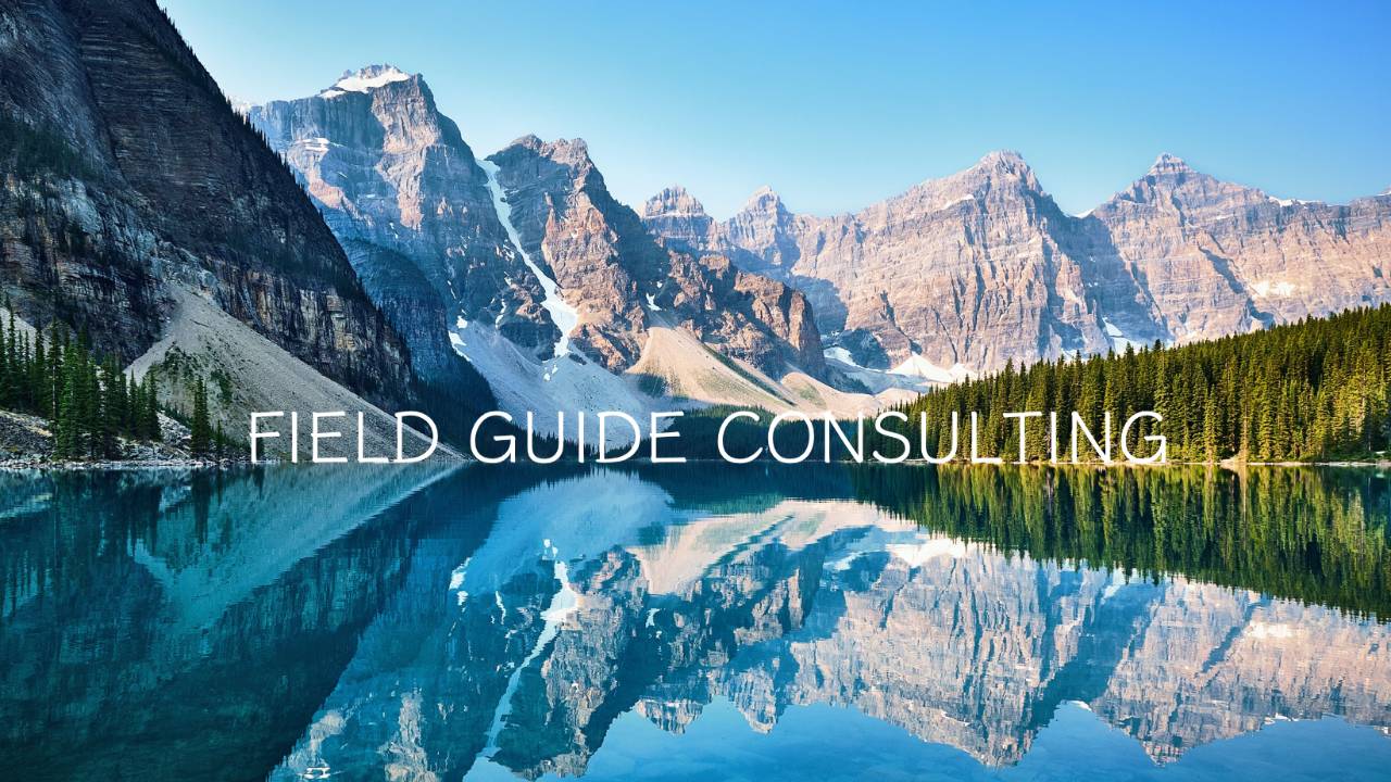 Field Guide Consulting - Leadership & Entrepreneurship Coaching