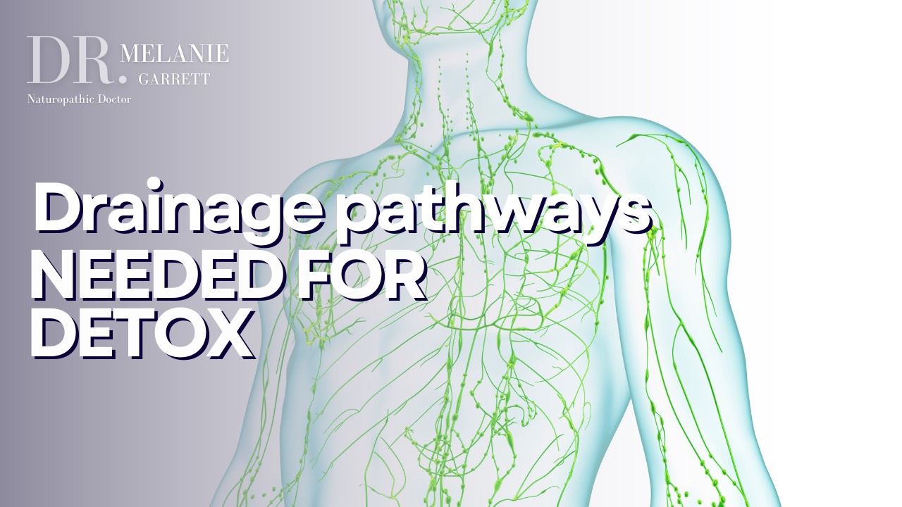 Drainage Pathways & Detox MUSTS - Cellcore | Dr. Melanie Garrett, ND