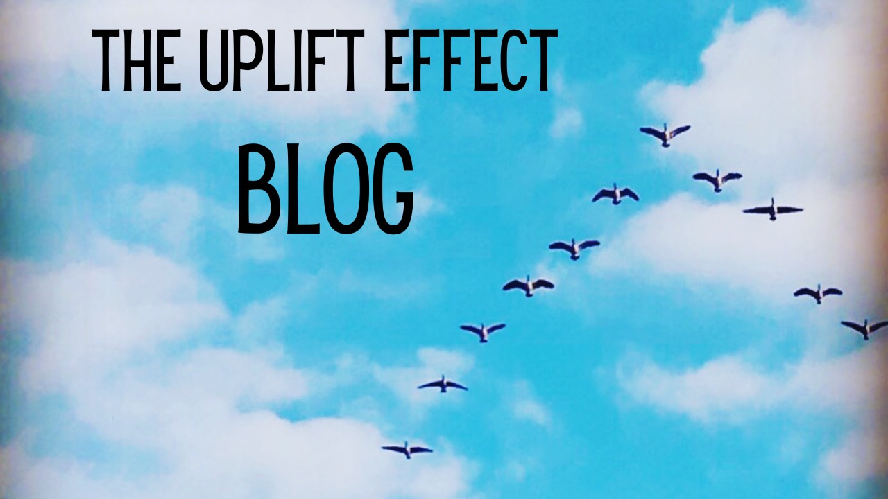 The Uplift Effect Blog