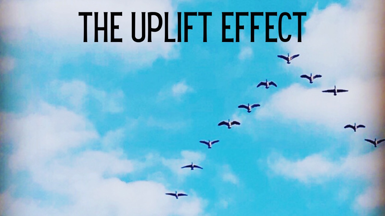 The Uplift Effect Coaching and Consulting