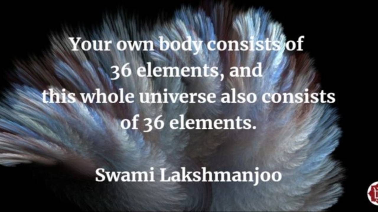How to practice with the 36 elements in your own body