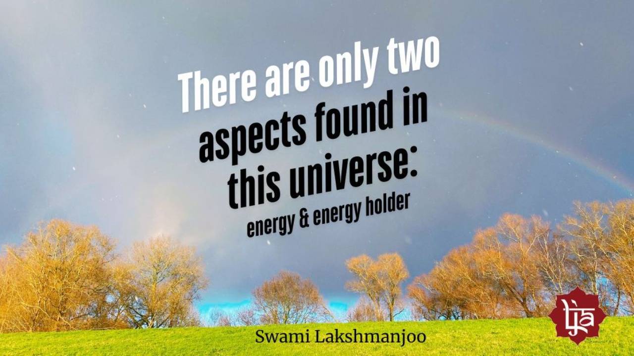 There are only two aspects found in this universe - Kashmir Shaivism