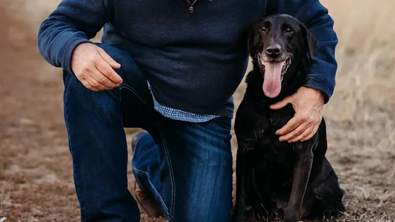 Breed Spotlight - Labrador Retriever