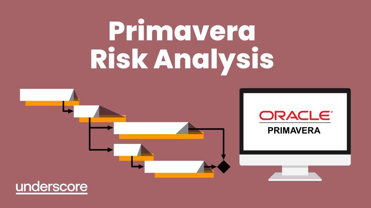 Primavera Training - Risk Analysis