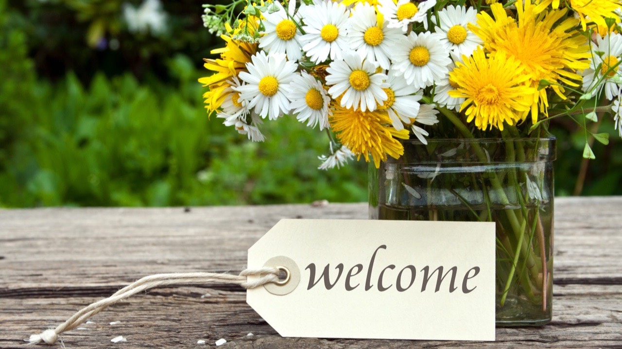 Moving my burnout healing story from Substack