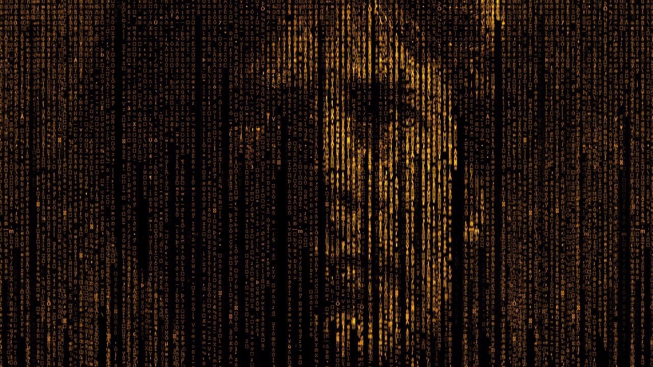 Glitches in The Matrix: The Demand for Lifelong Development