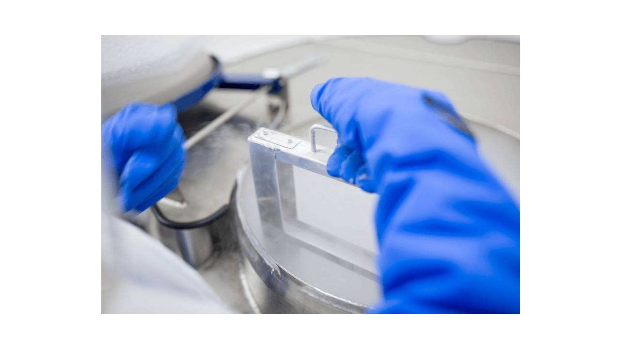 What Is Cell Therapy Manufacturing?