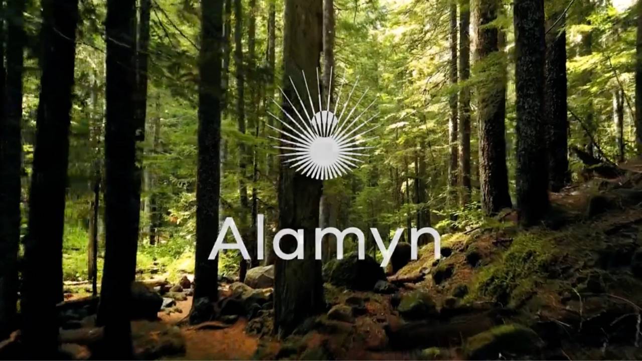 Alamyn | Plant Medicine | Sacred and Mystical Plants