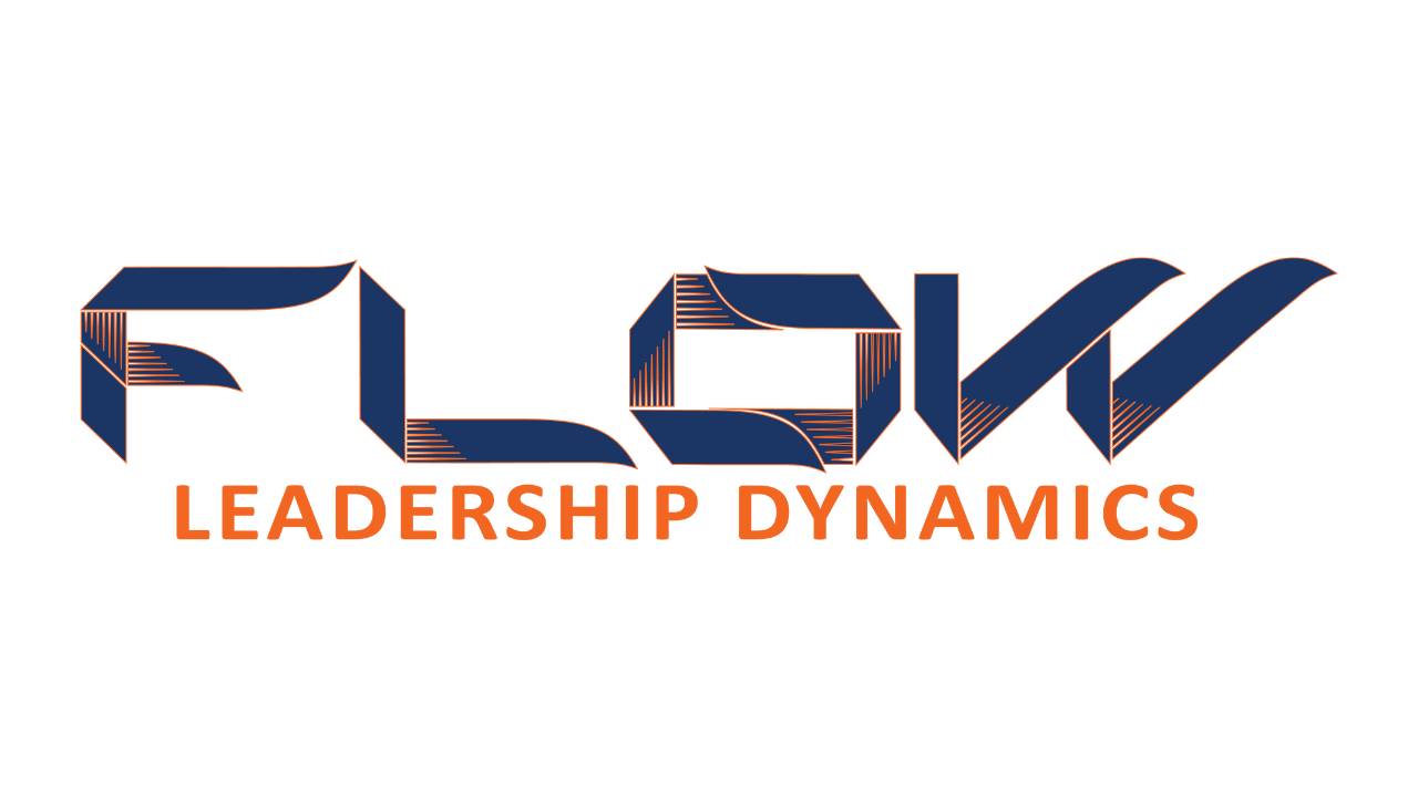 Taller Descubre - Flow Leadership Dynamics