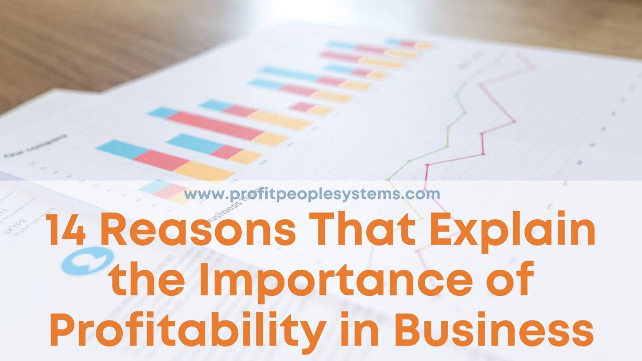 Why You Need to Be Profitable Before You Can Grow Your Business