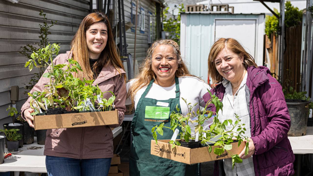 Growing Gardens Home Gardens Program
