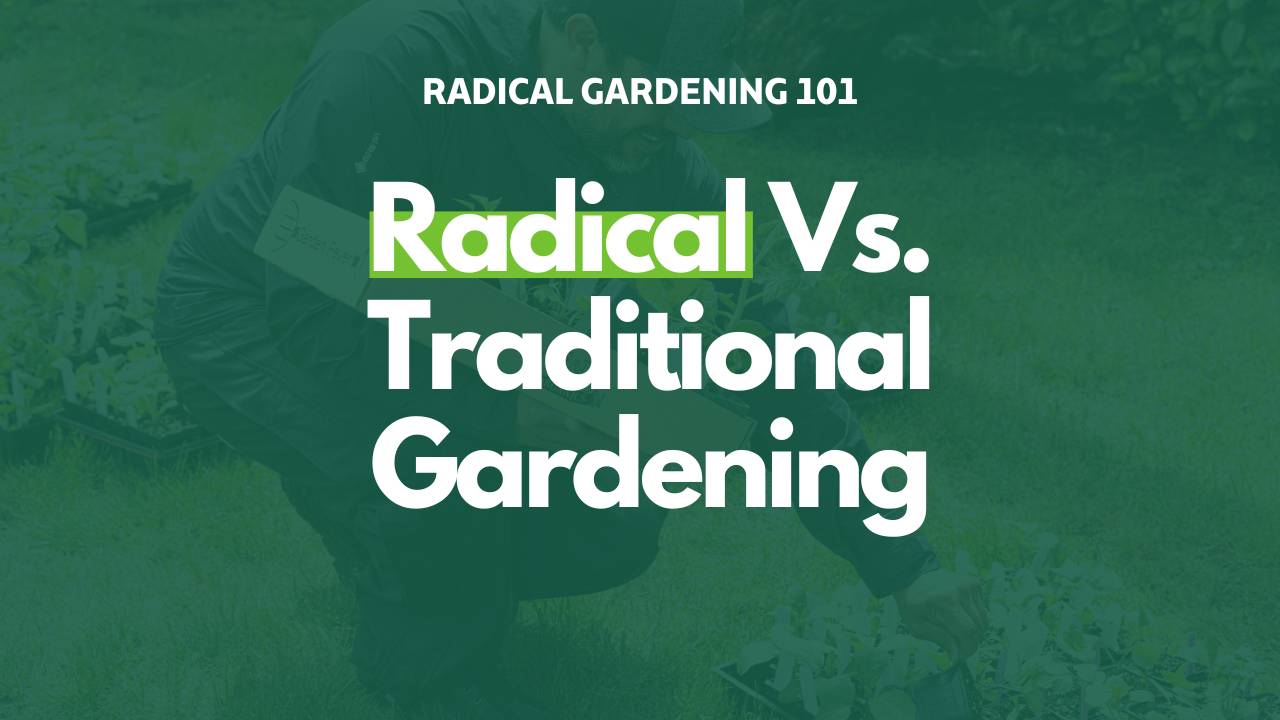Radical Vs. Traditional Gardening