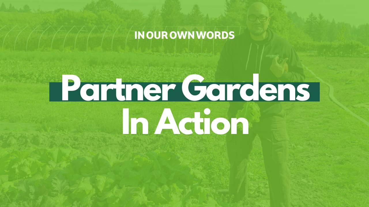 Partnering for Change: Growing Gardens' Community Garden Initiatives