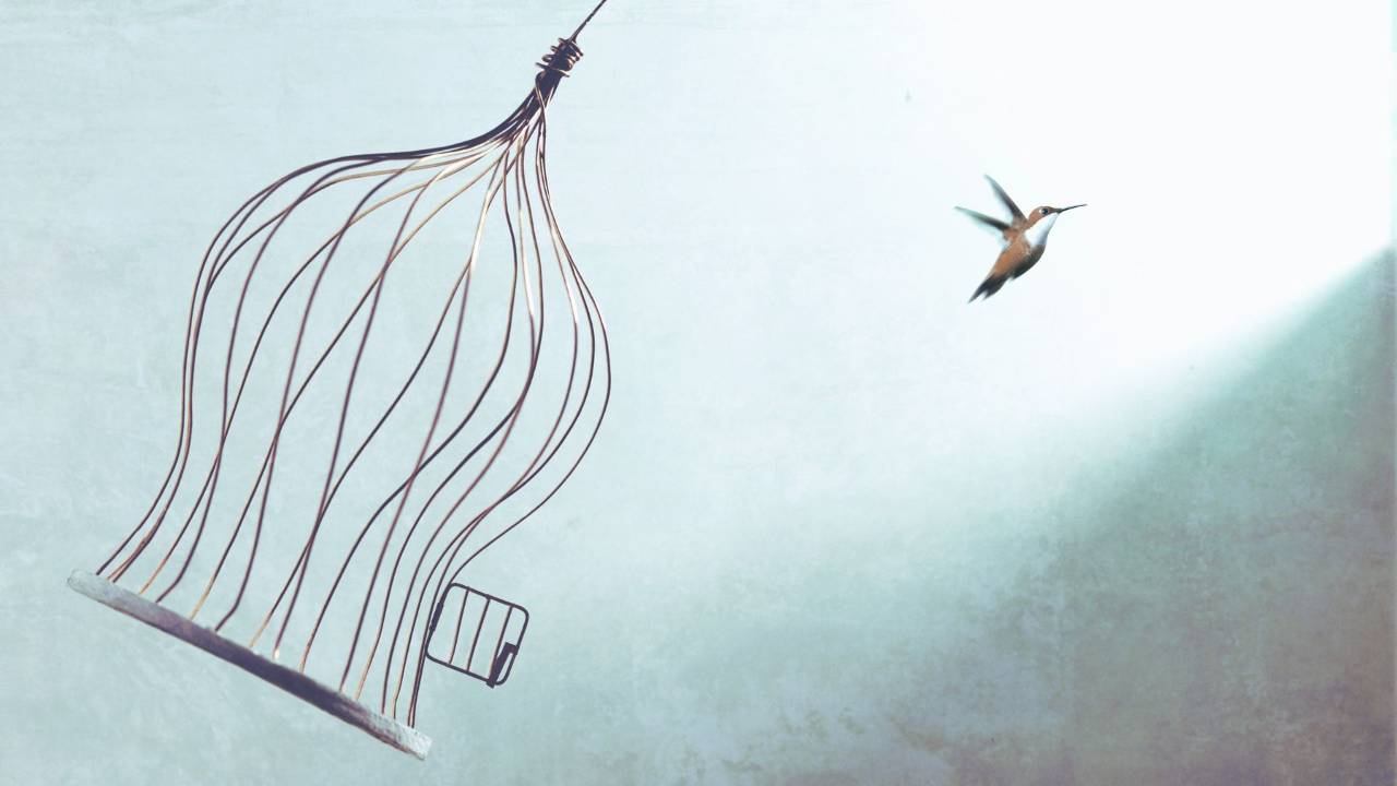 What's so frightening about freedom?