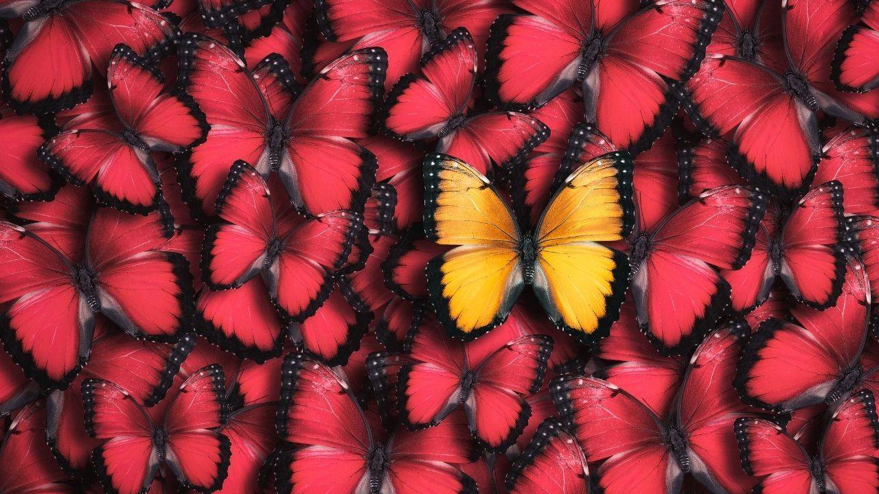 Expressing Our Unique Potential