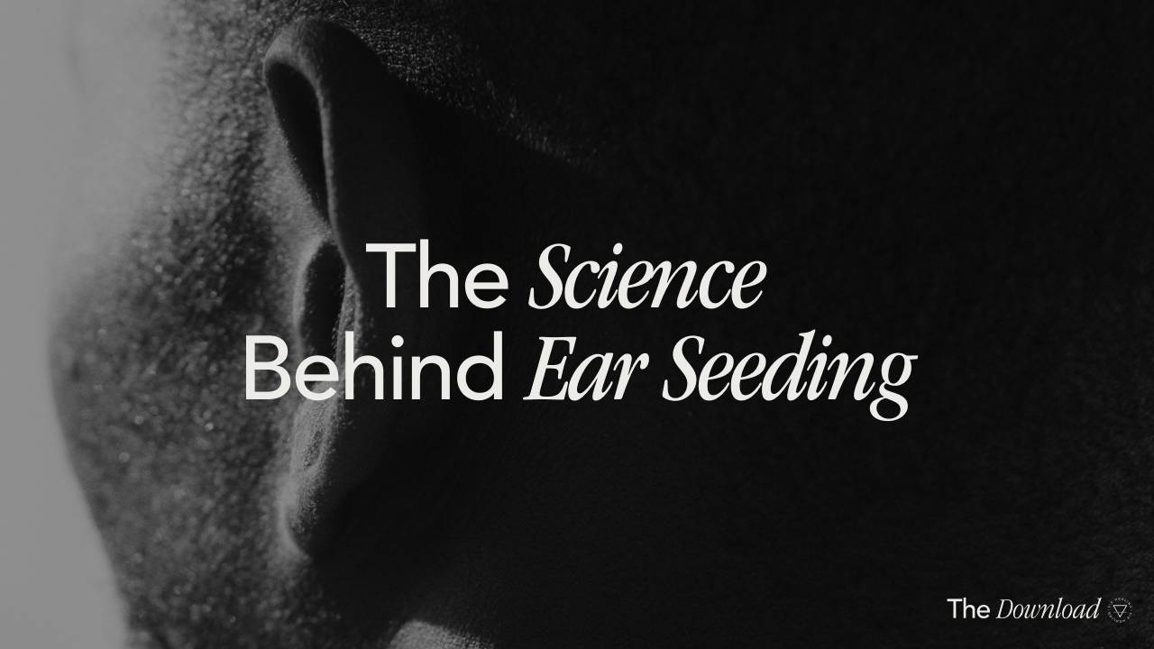The Science Behind Ear Seeding: Unveiling the Anatomy of Healing