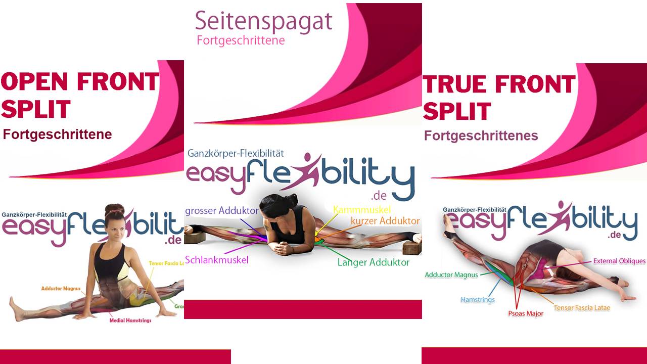 Advanced Splits Combo