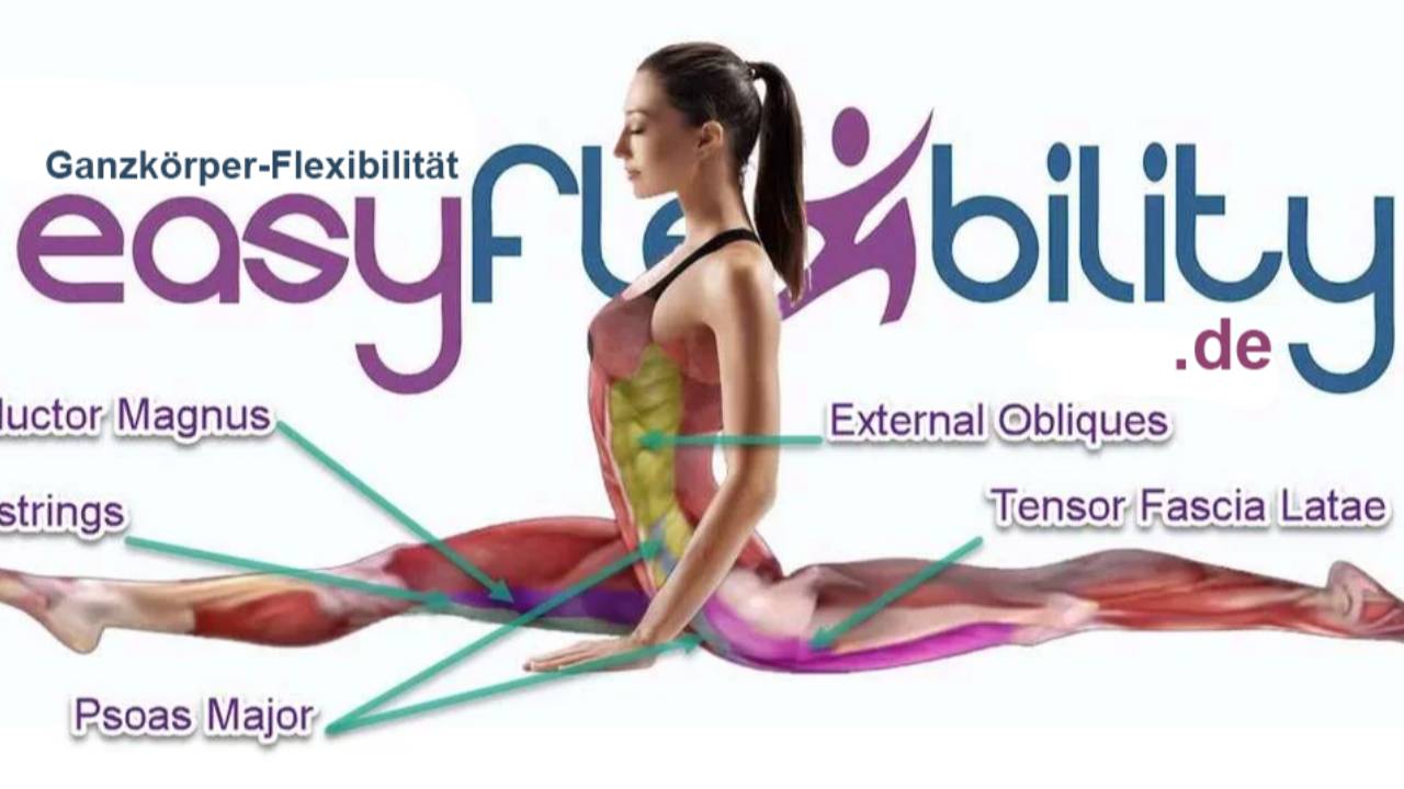 True Front Splits Combo